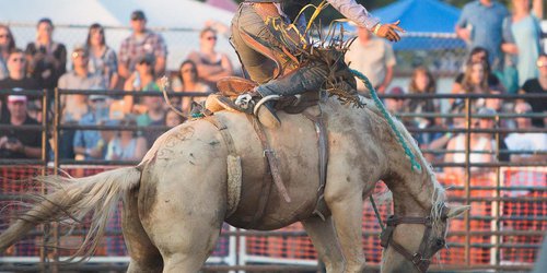 Southwest Washington Fair